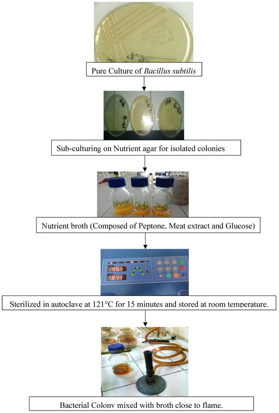 Performance of Epoxy-Injection and Microorganism-Based Crack-Healing ...