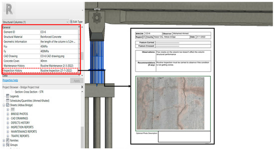 A Bridge Information Modeling (BrIM) Framework for Inspection and ...