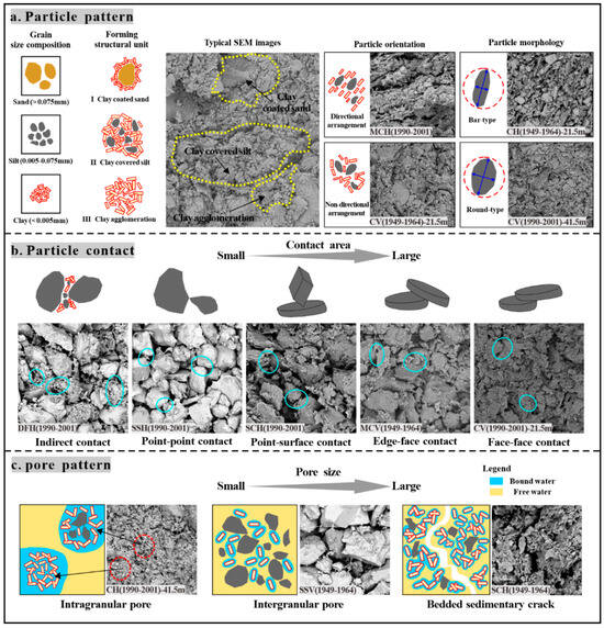Anisotropy Study on the Process of Soil Permeability and Consolidation in Reclamation Areas: A ...