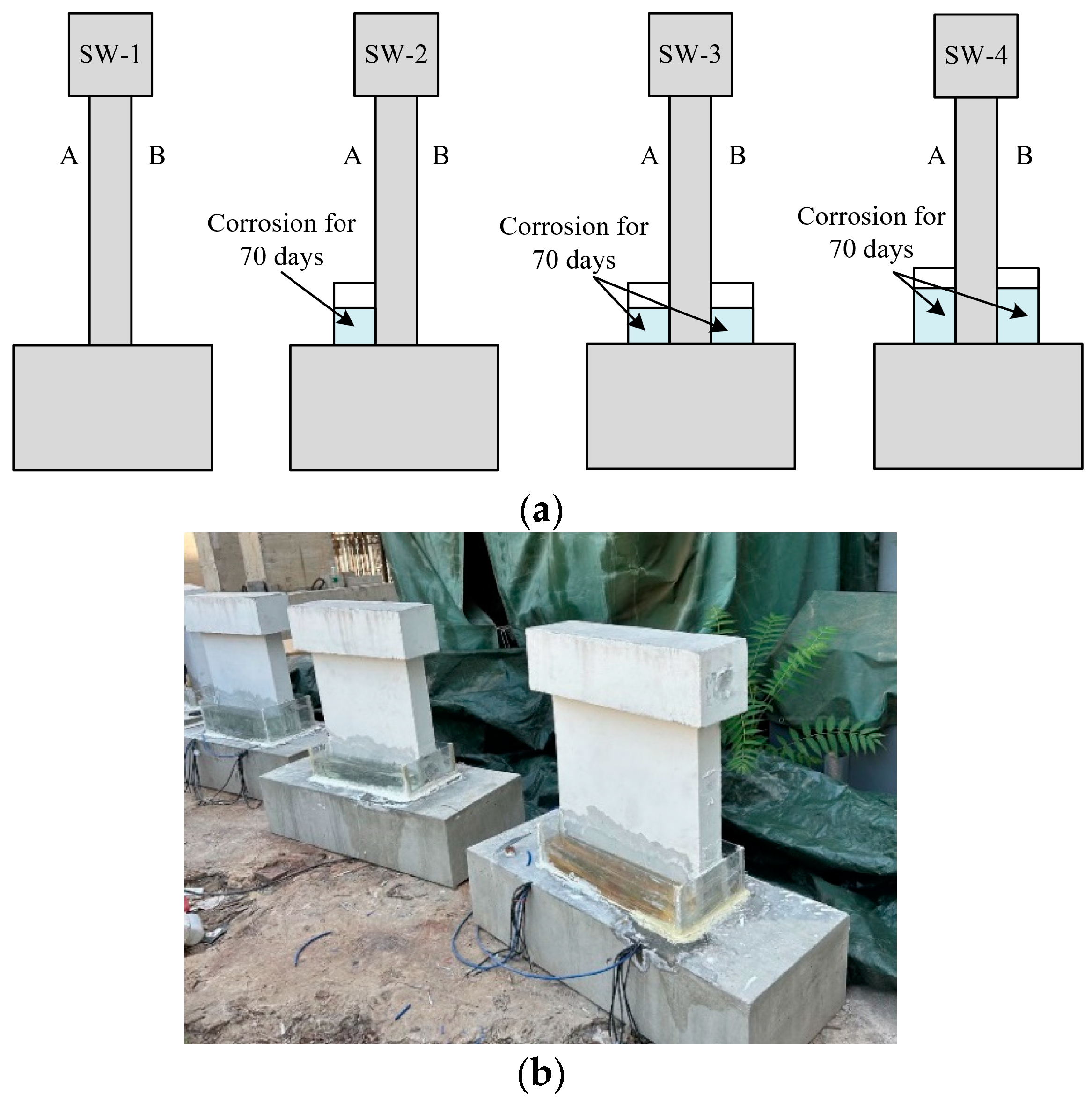 Experimental Study on Seismic Performance of Partially Corroded Squat RC Shear Walls in Coastal ...