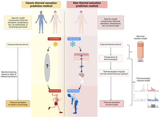 Skin Heat Transfer and Thermal Sensation Coupling Model under Steady ...