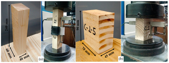 Cross-Laminated Timber (CLT) in Compression Perpendicular to the Plane ...