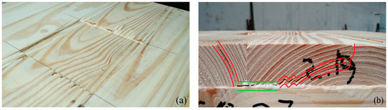 Cross-Laminated Timber (CLT) in Compression Perpendicular to the Plane ...