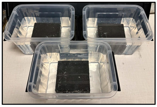 New and Sustainable Coal Char-Based Paving Blocks for Roadway Applications