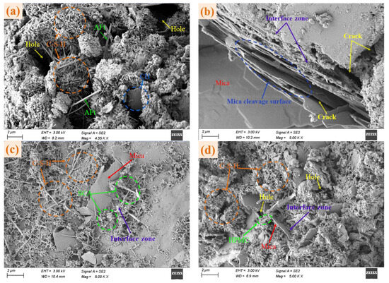 Study on the Effect of Interfacial Modification on the Properties of ...
