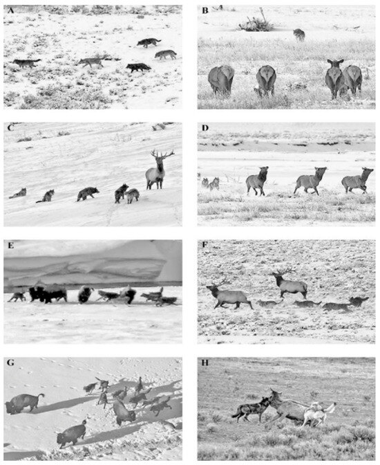 Buildings | Free Full-Text | Design-Optimization of Conventional Steel ...