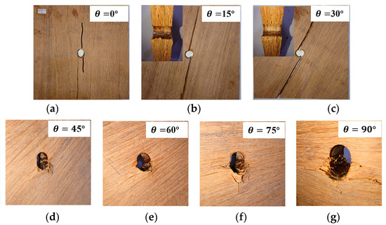 Experimental Investigation of Full Hole Embedment Behavior of Bamboo ...