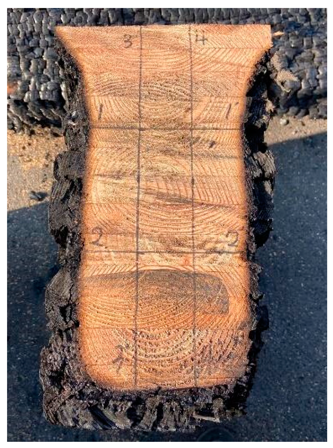 Charring Properties of Korean Larch Structural Glue-Laminated Timber ...