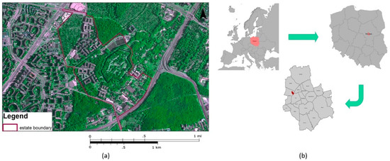Innovative Approaches to Urban Revitalization: Lessons from the Fort ...
