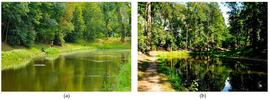 Innovative Approaches to Urban Revitalization: Lessons from the Fort ...