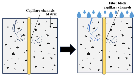 Capillary Water Absorption Characteristics of Steel Fiber-Reinforced ...