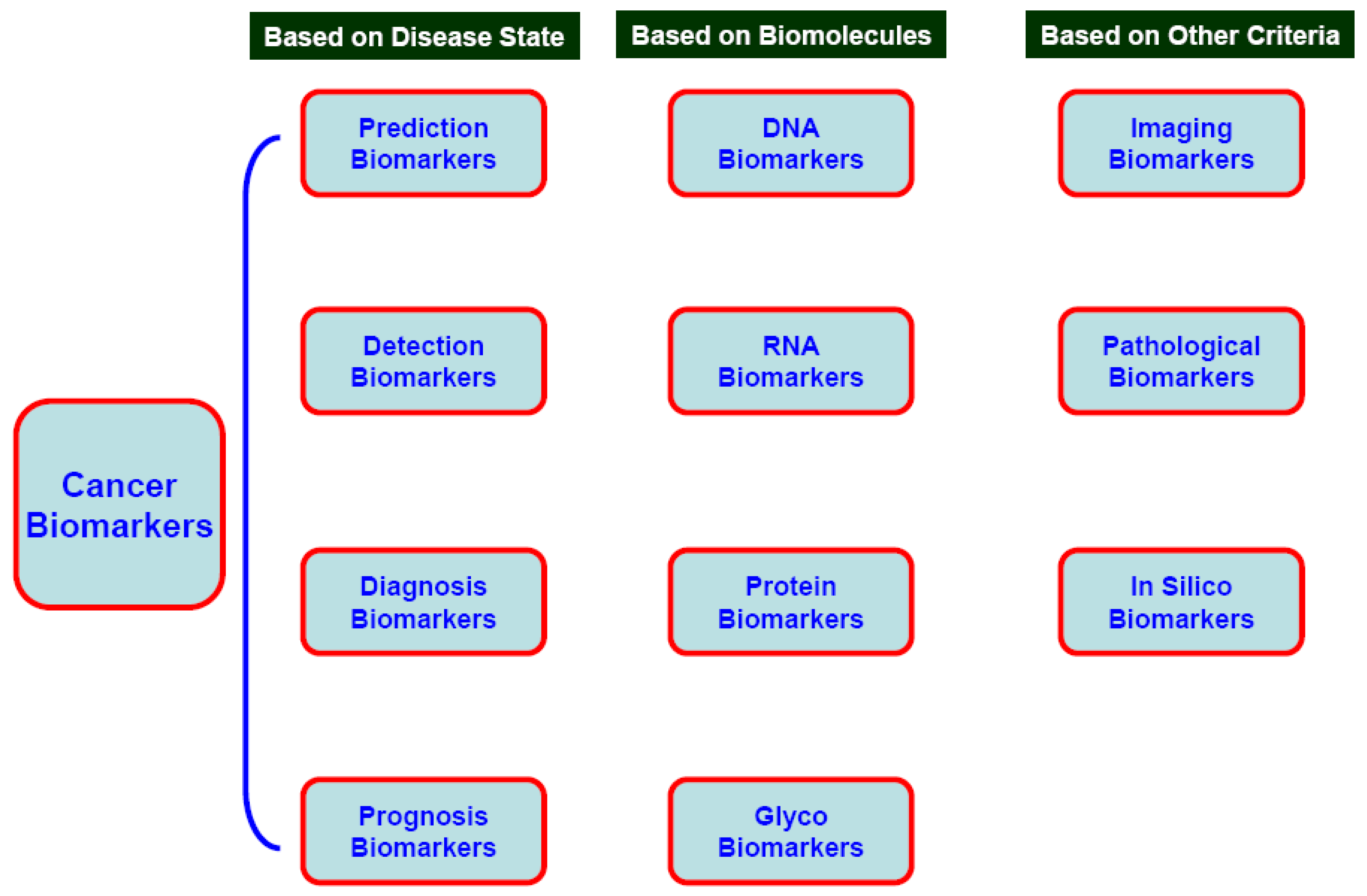 Cancers Free Full Text Cancer Biomarkers Are We Ready For The