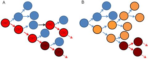 Cancers | Special Issue : Cancer Stem Cells