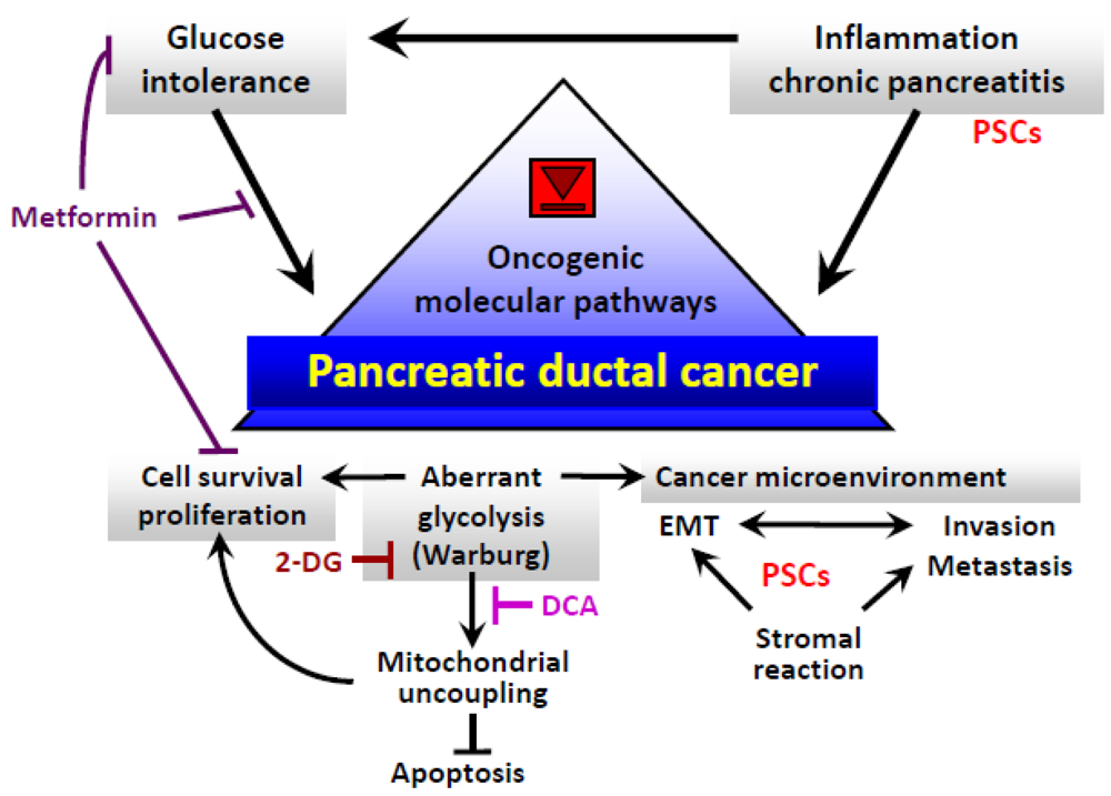 Cancers Free Full Text Metabolic Disorder Inflammation And