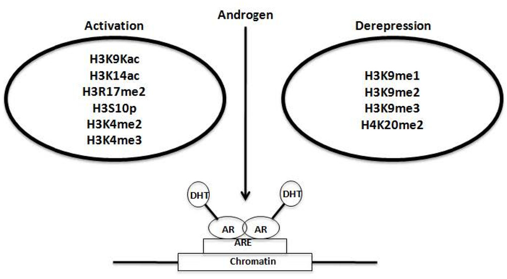 Cancers | Special Issue : Cancer Cell Proliferation