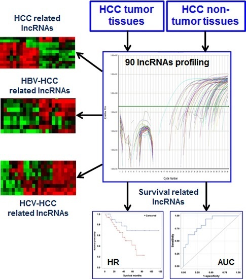 Cancers | Free Full-Text | Exploration of Deregulated Long Non-Coding ...