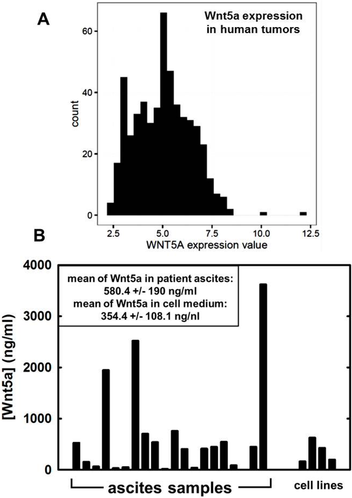 Wnt5a Signaling in Cancer