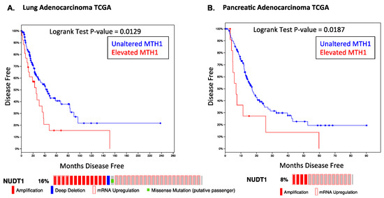 Cancers | Free Full-Text | MTH1 as a Chemotherapeutic Target: The ...