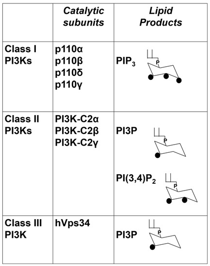 Phosphoinositide 3-Kinase-Dependent Signalling Pathways in Cutaneous ...