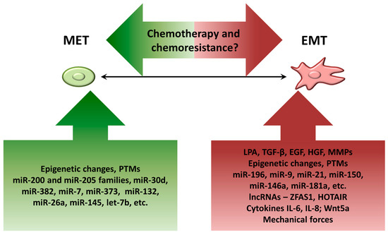 Cancers | Special Issue : The Epithelial-to-Mesenchymal Transition (EMT ...