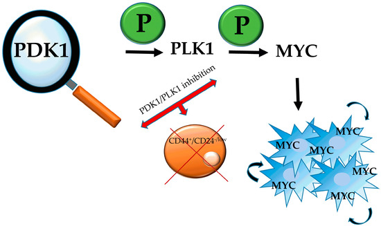 Targeting PDK1 for Chemosensitization of Cancer Cells