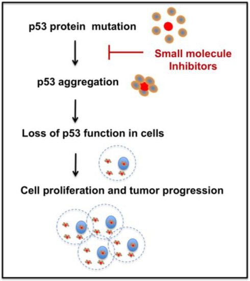 Treating p53 Mutant Aggregation-Associated Cancer