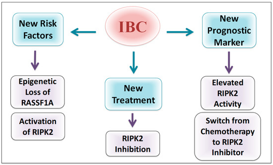 Cancers | Free Full-Text | RIPK2: New Elements in Modulating ...