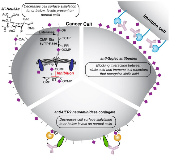 Cancers | Special Issue : Inflammation and Cancer