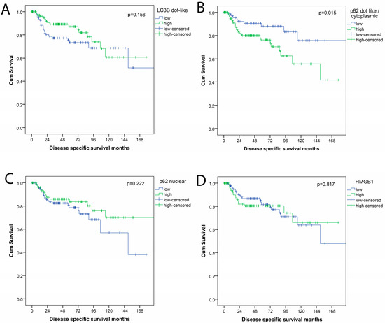 Expression Analysis of Autophagy Related Markers LC3B, p62 and HMGB1 ...