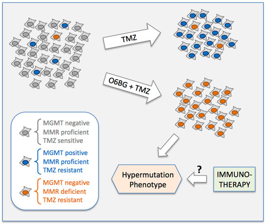Rare Stochastic Expression of O6-Methylguanine- DNA Methyltransferase ...