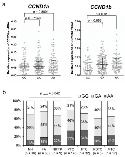 CCND1 Splice Variant as A Novel Diagnostic and Predictive Biomarker for Thyroid Cancer