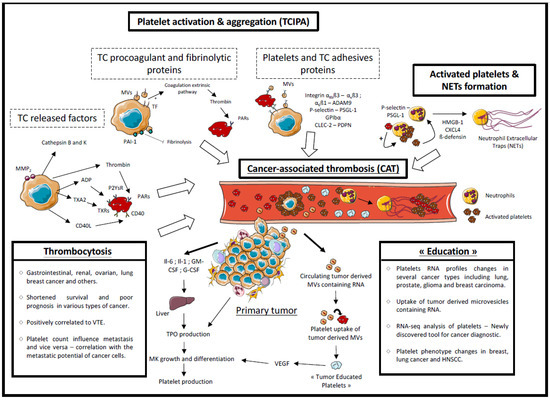 Impacts of Cancer on Platelet Production, Activation and Education and ...