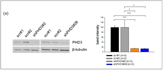 PHD3 Acts as Tumor Suppressor in Mouse Osteosarcoma and Influences ...