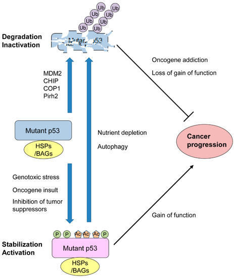 Cancers Mdpi