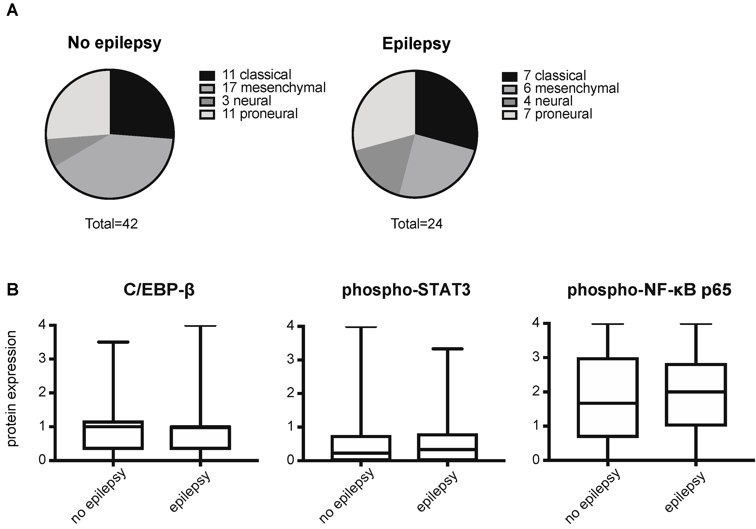 Epilepsy Associates with Decreased HIF-1α/STAT5b Signaling in Glioblastoma