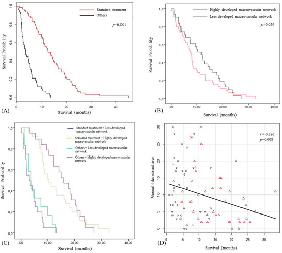 Cancers | Free Full-Text | Macrovascular Networks on Contrast-Enhanced Magnetic Resonance ...