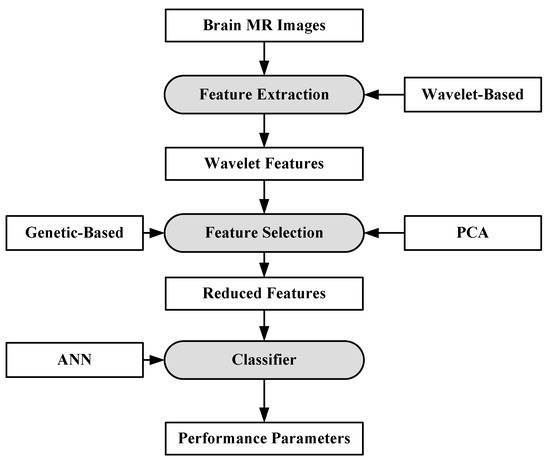 A Review on a Deep Learning Perspective in Brain Cancer Classification