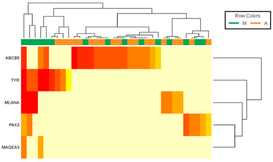 Cancers | Free Full-Text | Immunomagnetic-Enriched Subpopulations of ...