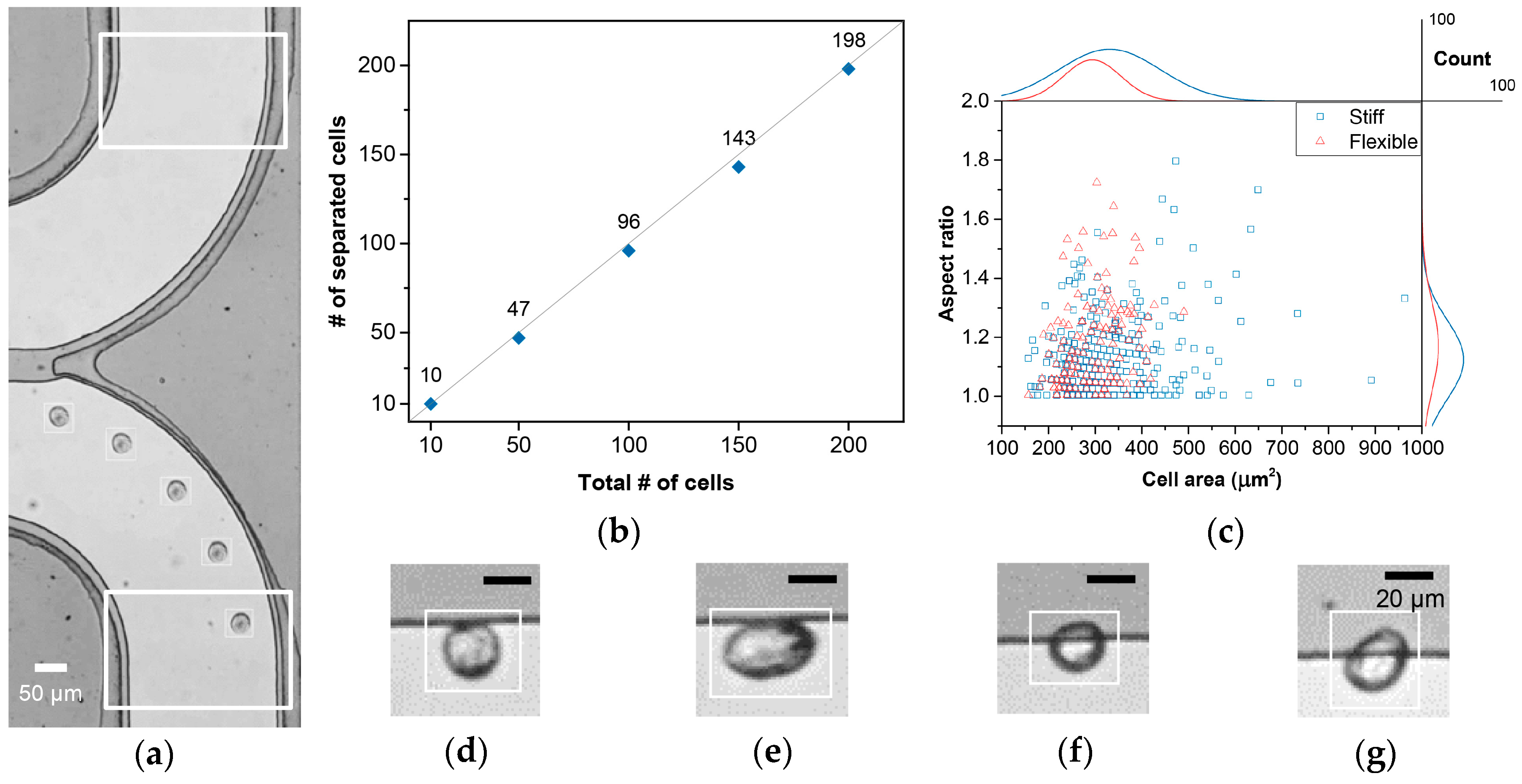 Continuous Separation of Circulating Tumor Cells from Whole Blood Using a Slanted Weir ...