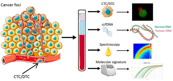 Cancers | Special Issue : Molecular Profiling of Lung Cancer