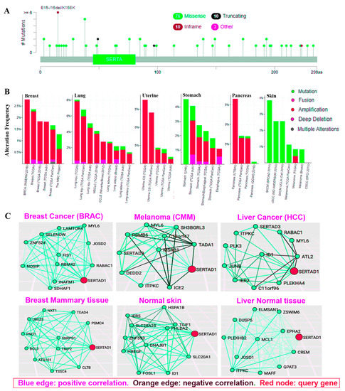 Prognostic and Clinicopathological Significance of SERTAD1 in Various ...