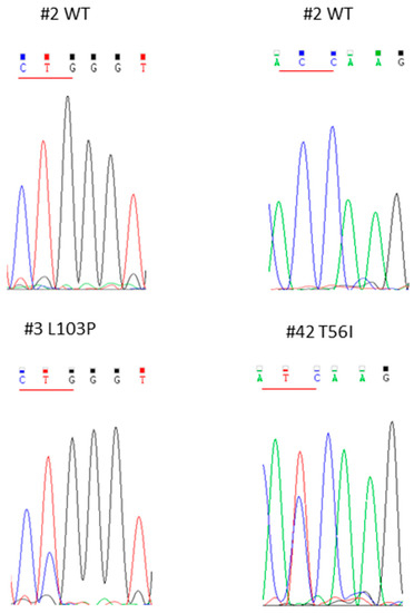 Assessment of a High Sensitivity Method for Identification of IDH1 ...