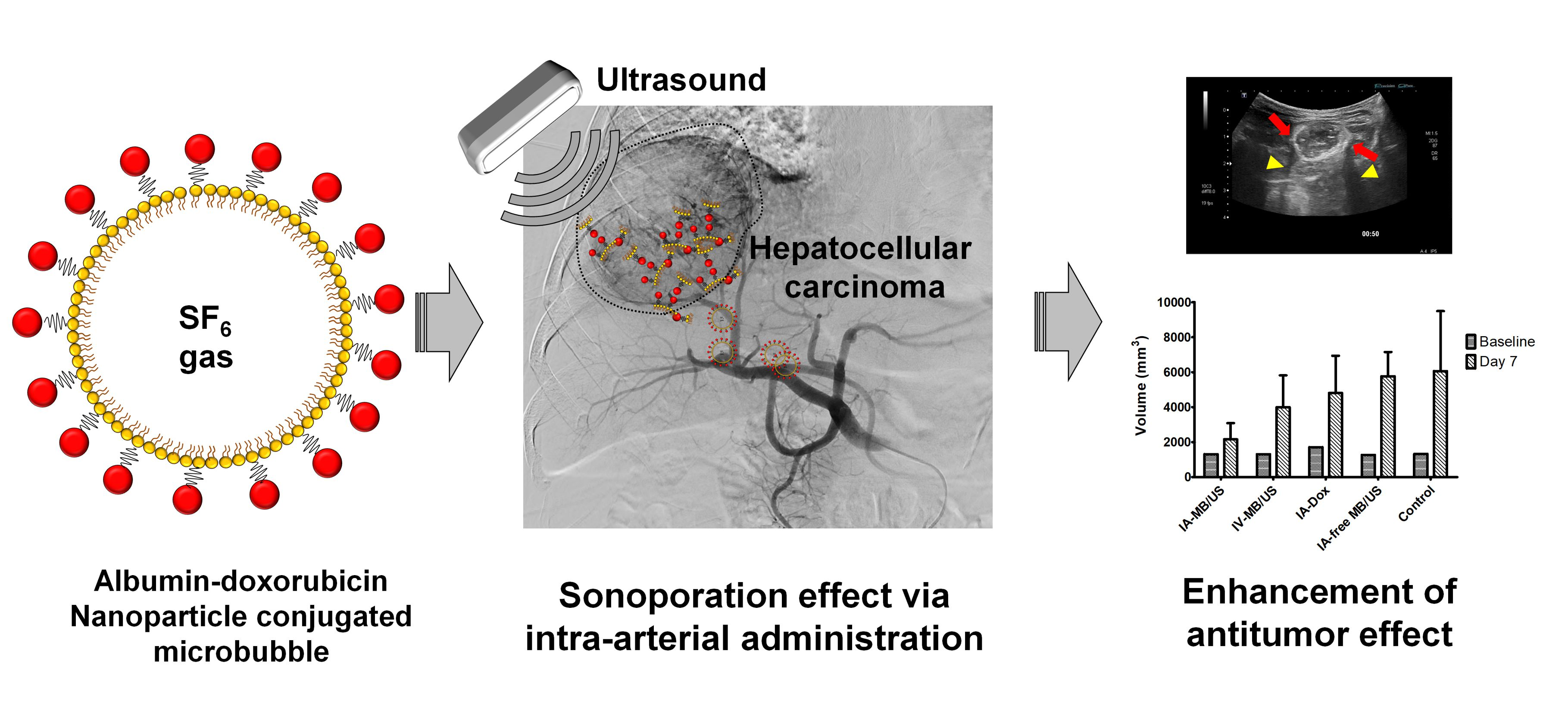 Cancers | Free Full-Text | Antitumor Effects of Intra-Arterial Delivery ...