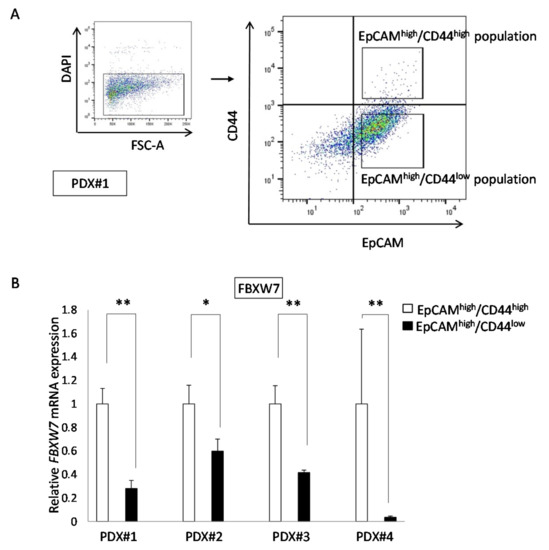 F-Box/WD Repeat Domain-Containing 7 Induces Chemotherapy Resistance in ...