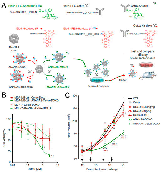 Active Targeting Strategies Using Biological Ligands for Nanoparticle ...