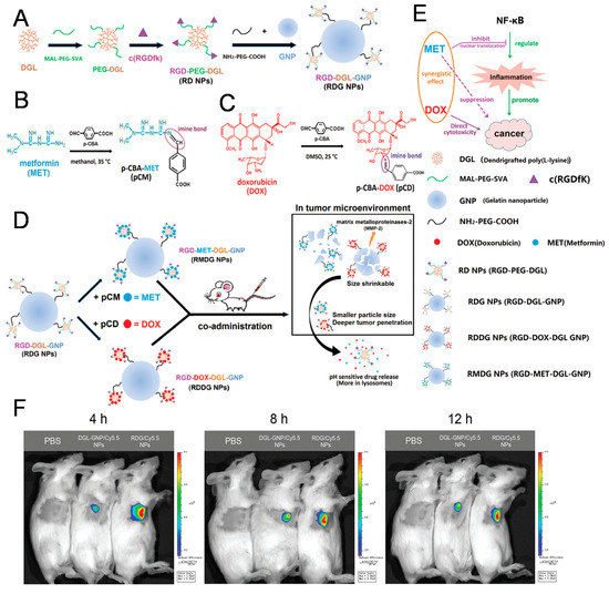 Active Targeting Strategies Using Biological Ligands for Nanoparticle ...