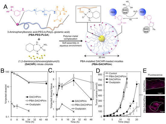 Active Targeting Strategies Using Biological Ligands for Nanoparticle ...