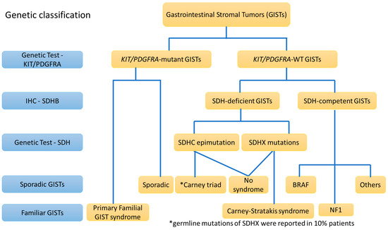 Clinical Diagnosis of Gastrointestinal Stromal Tumor (GIST): From the ...