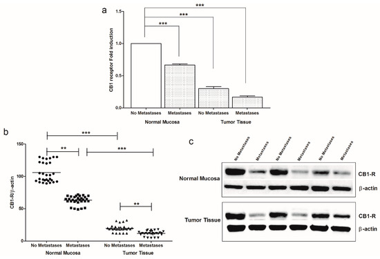 Down-Regulation of Cannabinoid Type 1 (CB1) Receptor and its Downstream ...