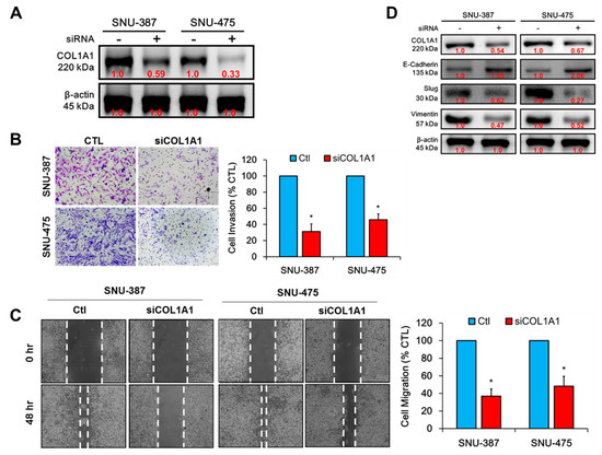 Collagen 1A1 (COL1A1) Is a Reliable Biomarker and Putative Therapeutic ...